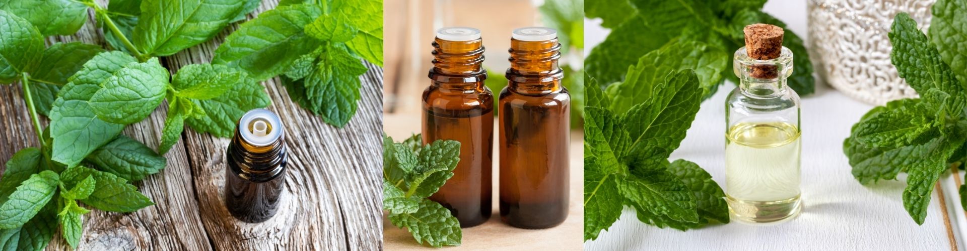 Huile essentielle de menthe poivrée